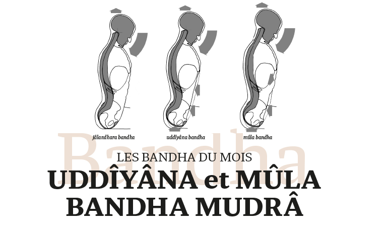Uddîyâna et Mûla Bandha Mudrâ - Le Journal du Yoga