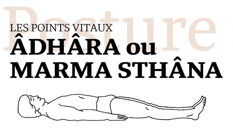 Les POINTS VITAUX - ÂDHÂRA ou MARMA STHÂNA - Le Journal du Yoga